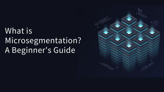 What is Microsegmentation? A Beginner's Guide | Instasafe Blog